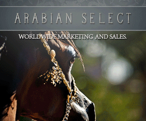 Elite-Equestrian-Banner – Elite Equestrian magazine