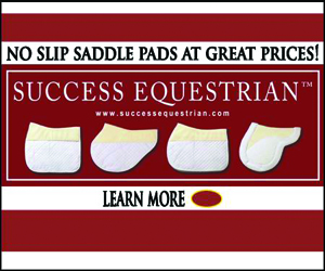 Web Banner Ad Success Equestrian 070815 – Elite Equestrian magazine