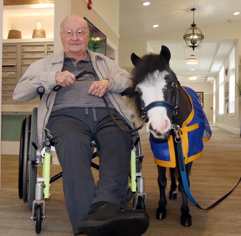 The documentary film premiere of Hero Horse: A Magical True Story ...