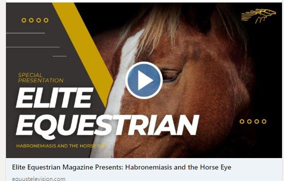Elite Equestrian Magazine Presents: Habronemiasis and the Horse Eye ...